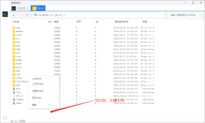 NxShell：Linux下一代远程工具免费SSH客户端-不念博客